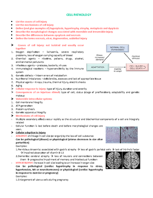 systemic lupus erythematosus notes - SLE SLE = Multisystemic autoimmune ...