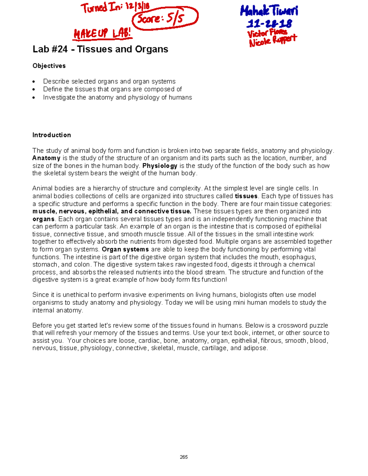 Lab 24 - Lab Work - Lab #24 - Tissues and Organs Objectives Describe ...