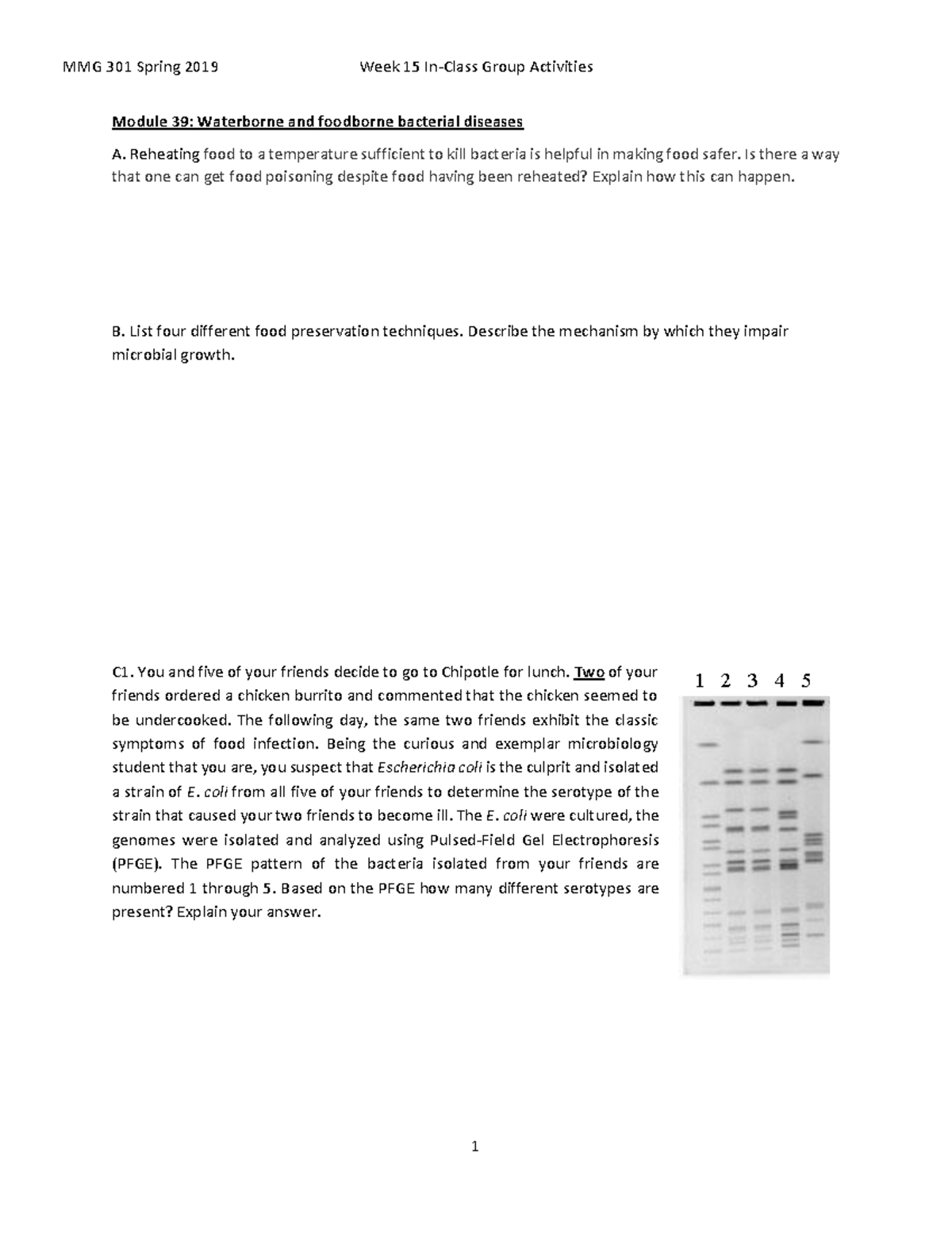SS19 Week 15 activities - Module 39: Waterborne and foodborne bacterial diseases A. Reheating ...