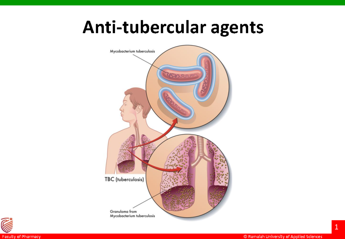 BP601T Anti-TB-1 - Anti tubercular agents - 1 Anti-tubercular agents 2 Contents Introduction ...