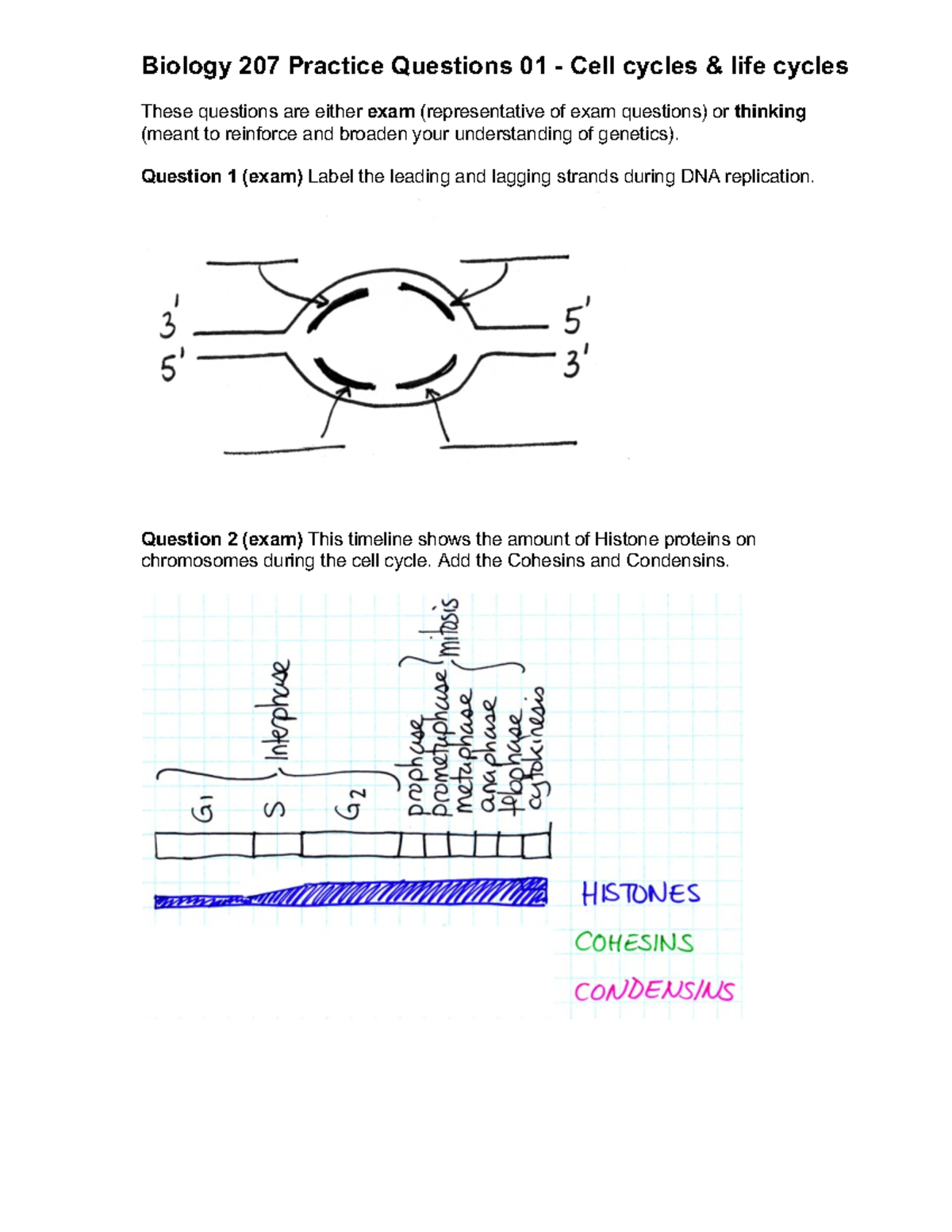 B207pq01 - .LL - Biology 207 Practice Questions 01 - Cell cycles & life ...