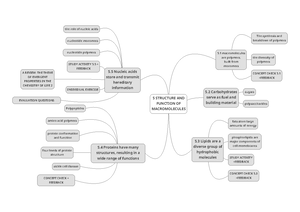 Grade 12 Life Sciences Human Evolution Workbook - GR 12 LIFE SCIENCES ...