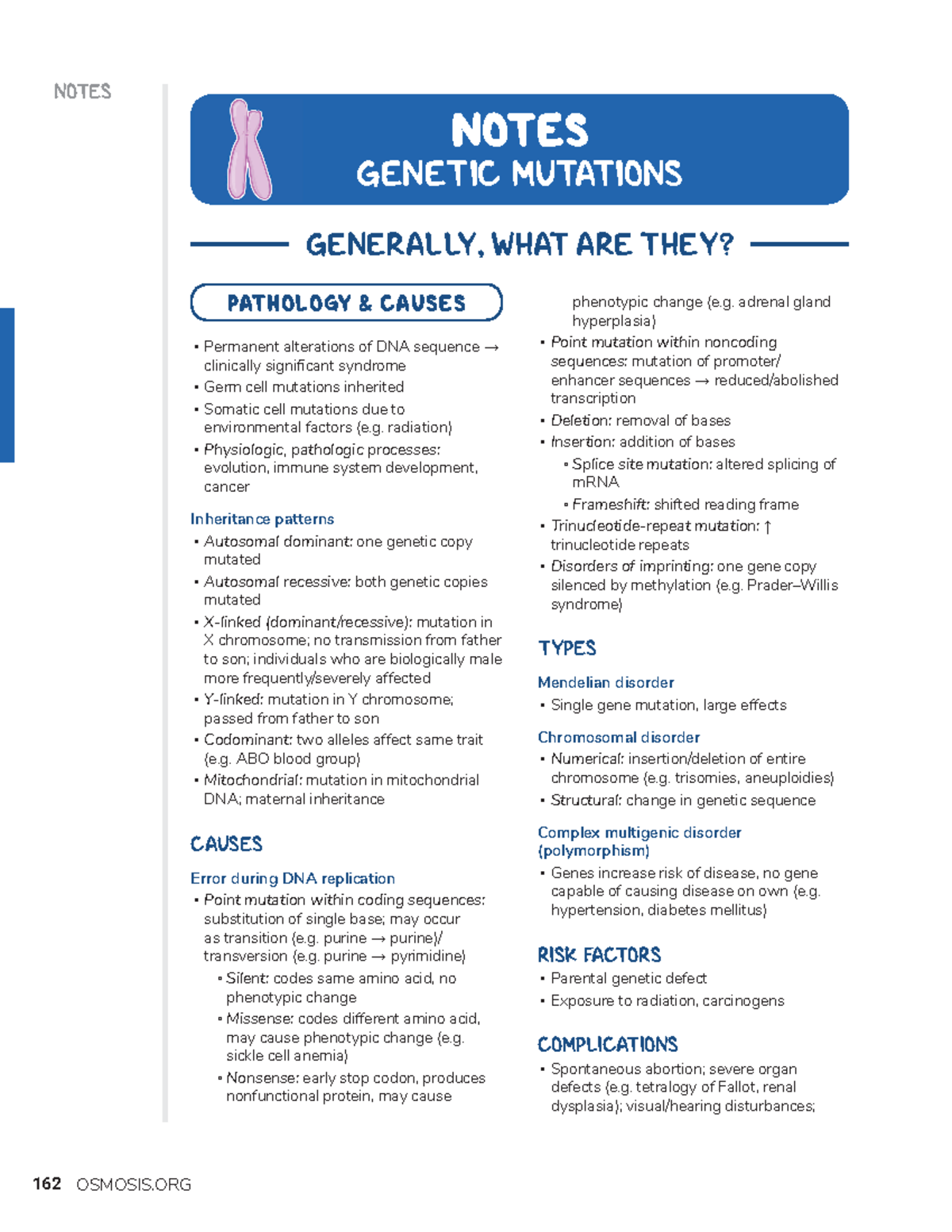 Genetic mutations - NOTES NOTES GENETIC MUTATIONS GENERALLY, WHAT ARE ...