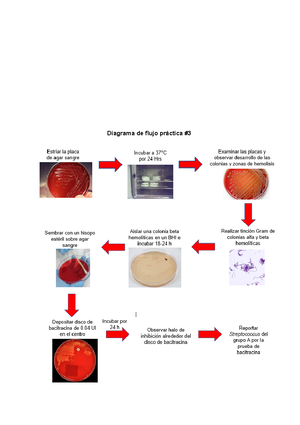 Quiescencia vs latencia - Quiescencia vs latencia Introducción En las ...