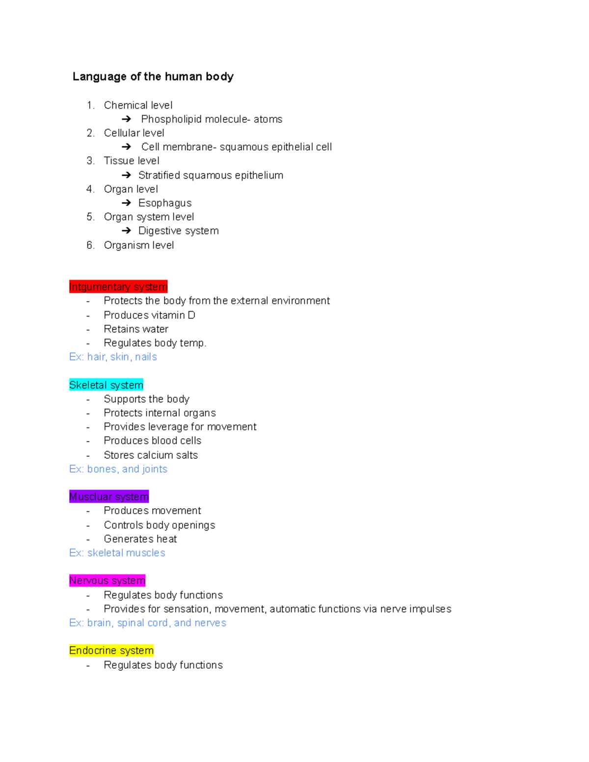 Human body organization, language of the human body - Language of the ...