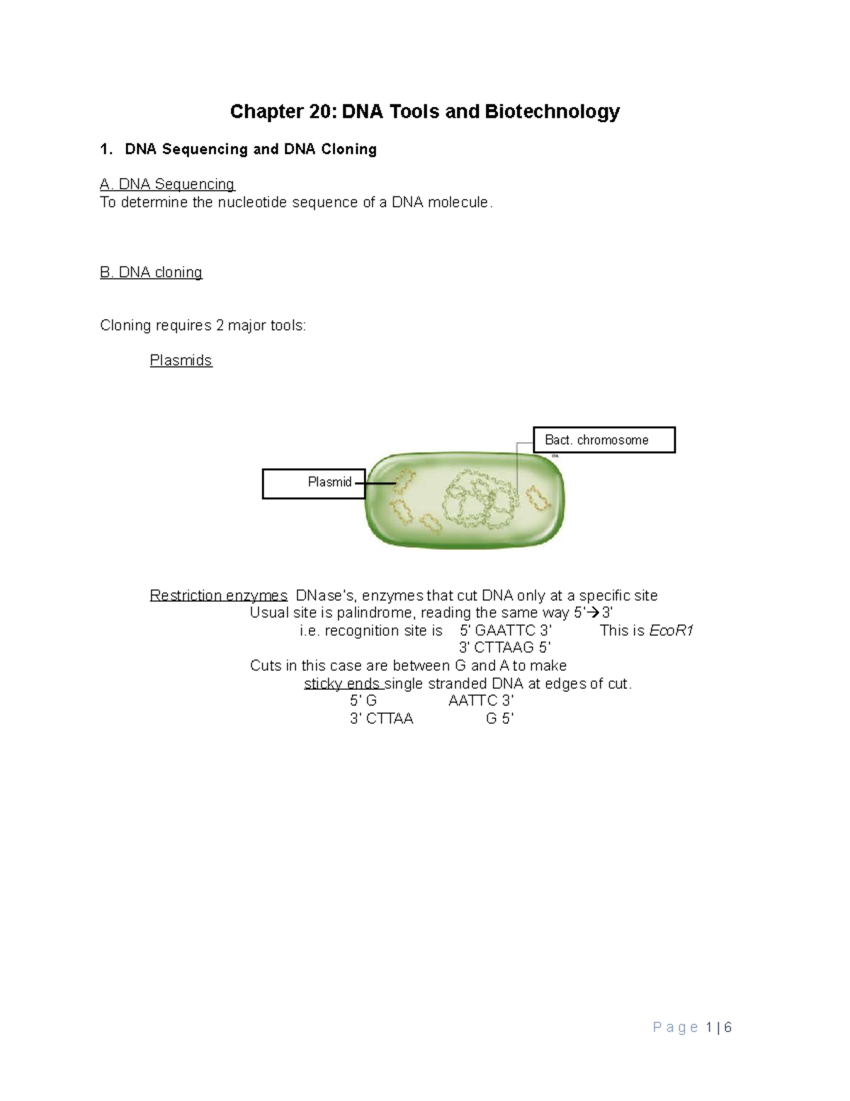 Ch 20 Notes & HW - summer 2016 - Chapter 20: DNA Tools and ...