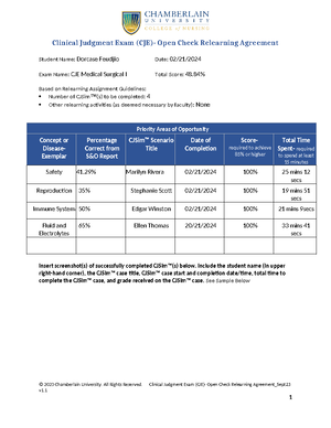 Relearning Clinical Judgment Plan of Care Template EW Med Surg I ...