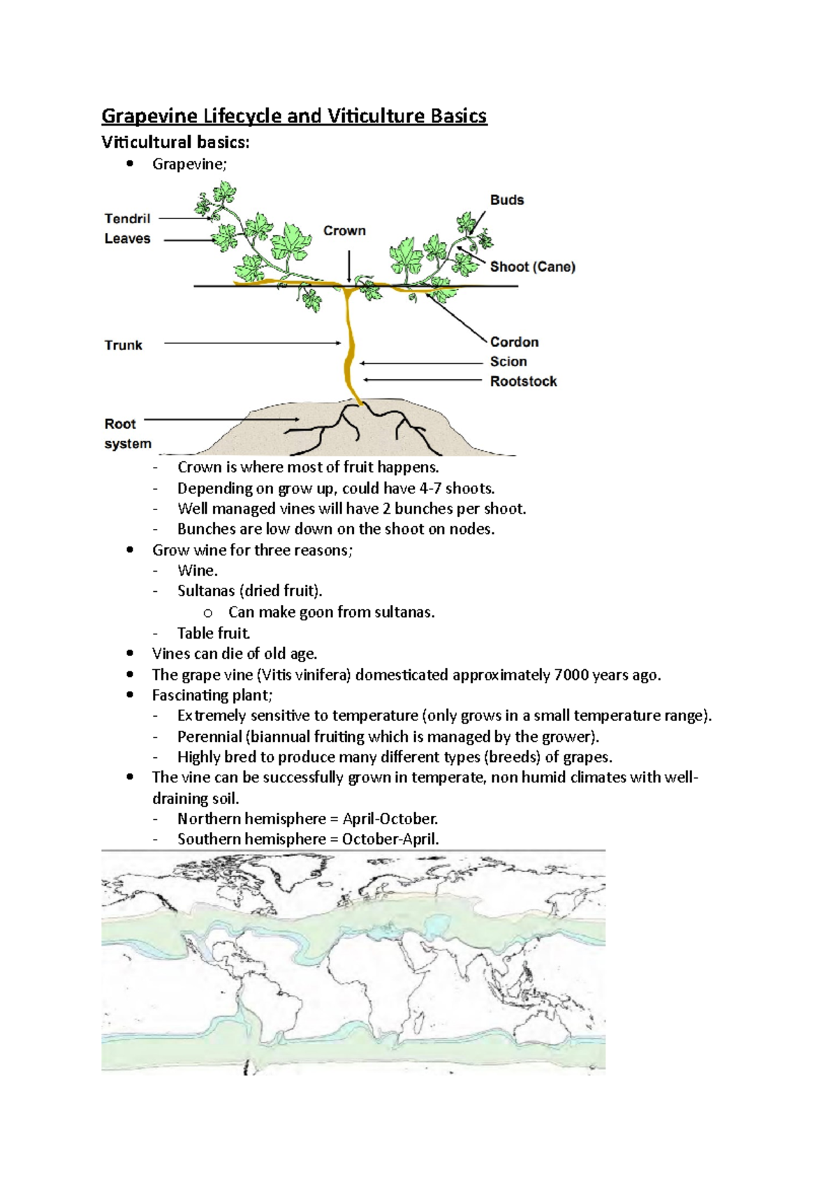 Grapevine Lifecycle and Viticulture Basics - Grapevine Lifecycle and ...