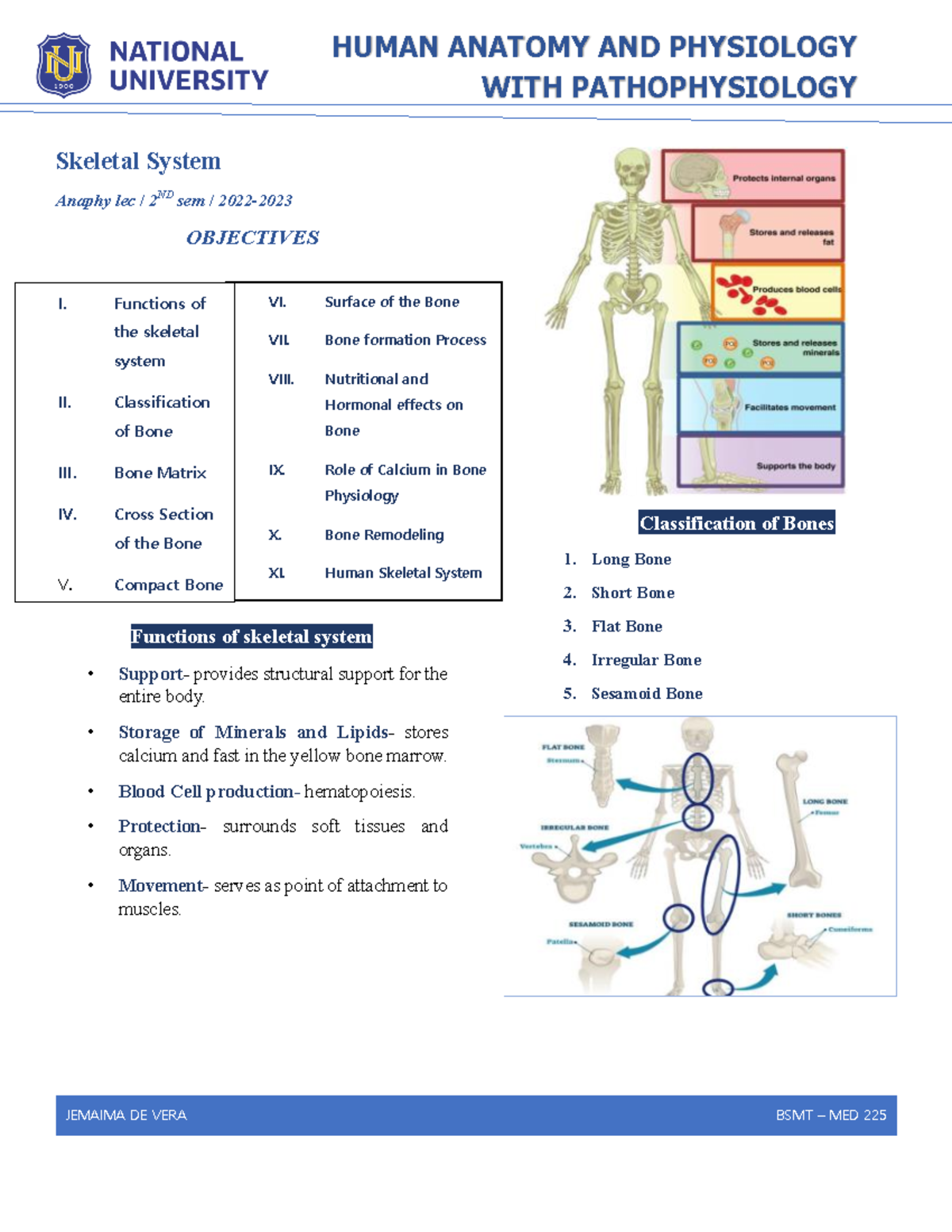Skeletal System [Transes] - WITH PATHOPHYSIOLOGY Skeletal System Anaphy ...