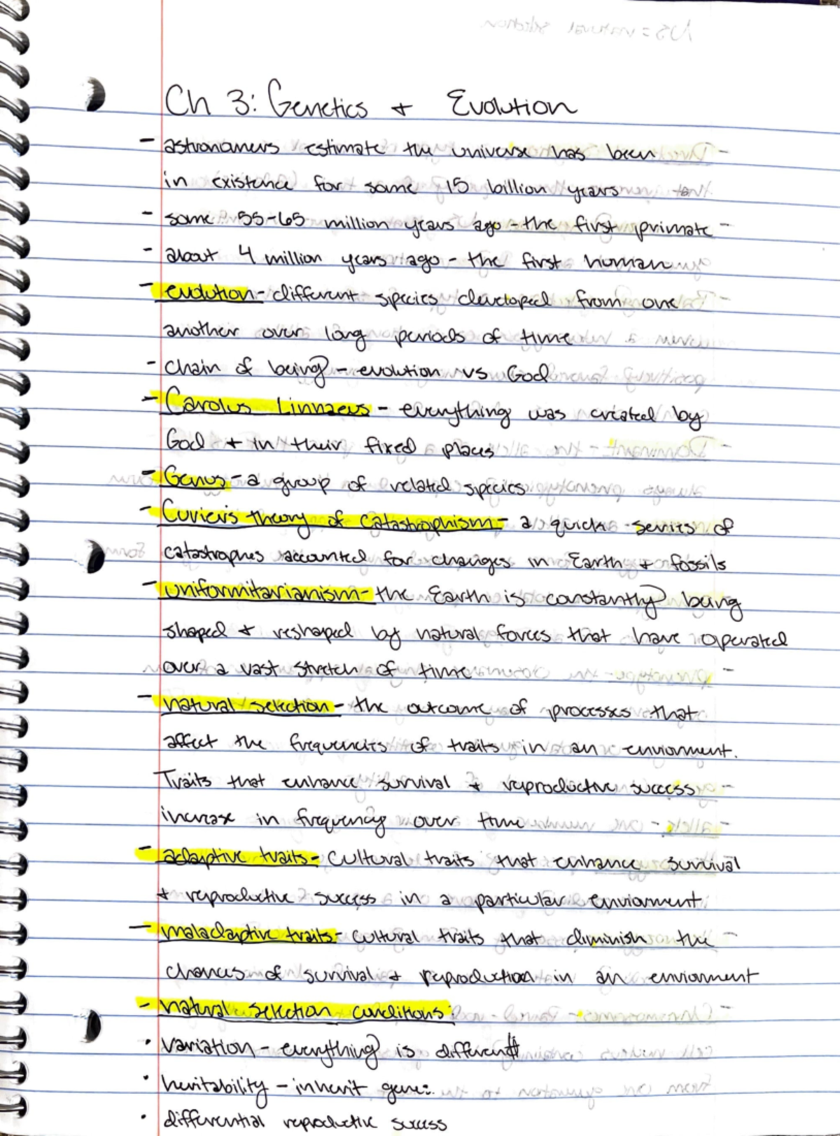 Chapter 3 - W -i-'-...,.,_;=-..,,,-=..:....,.=-.,-""""'-\J_O_μ-i ' O_iV ...
