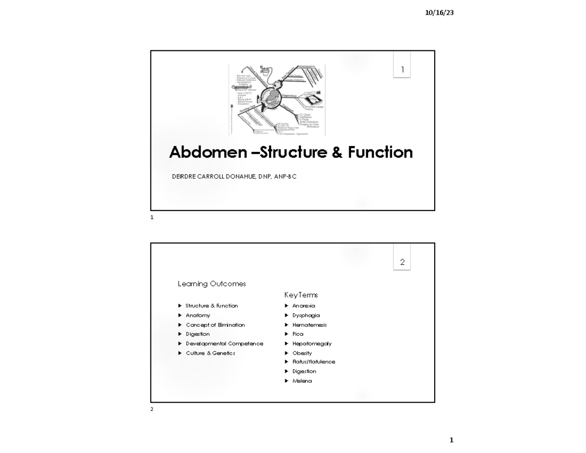 Abdominal 8 Notes Abdomen Structure And Function Deirdre Carroll
