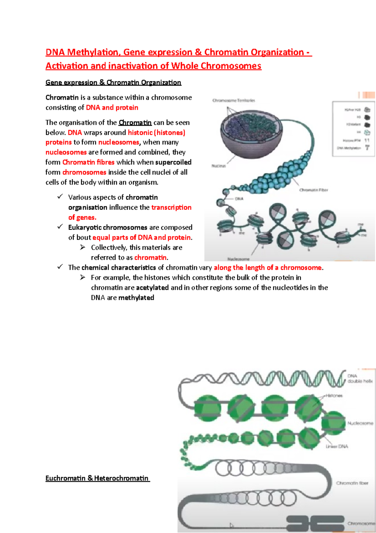 Life Science 1 - DNA Methylation, Gene expression and Chromatin ...