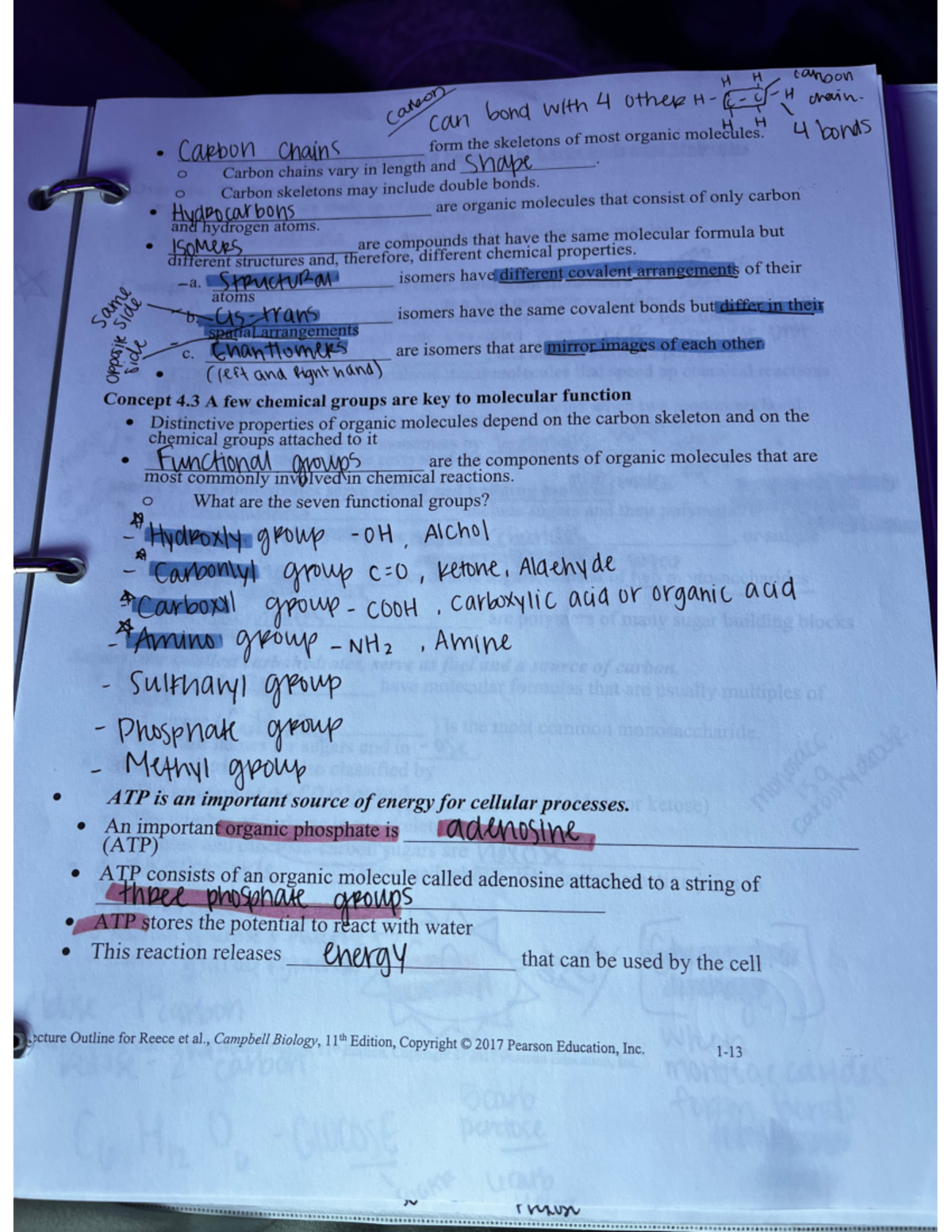 9 - biology lecture notes - BIO1134 - Studocu