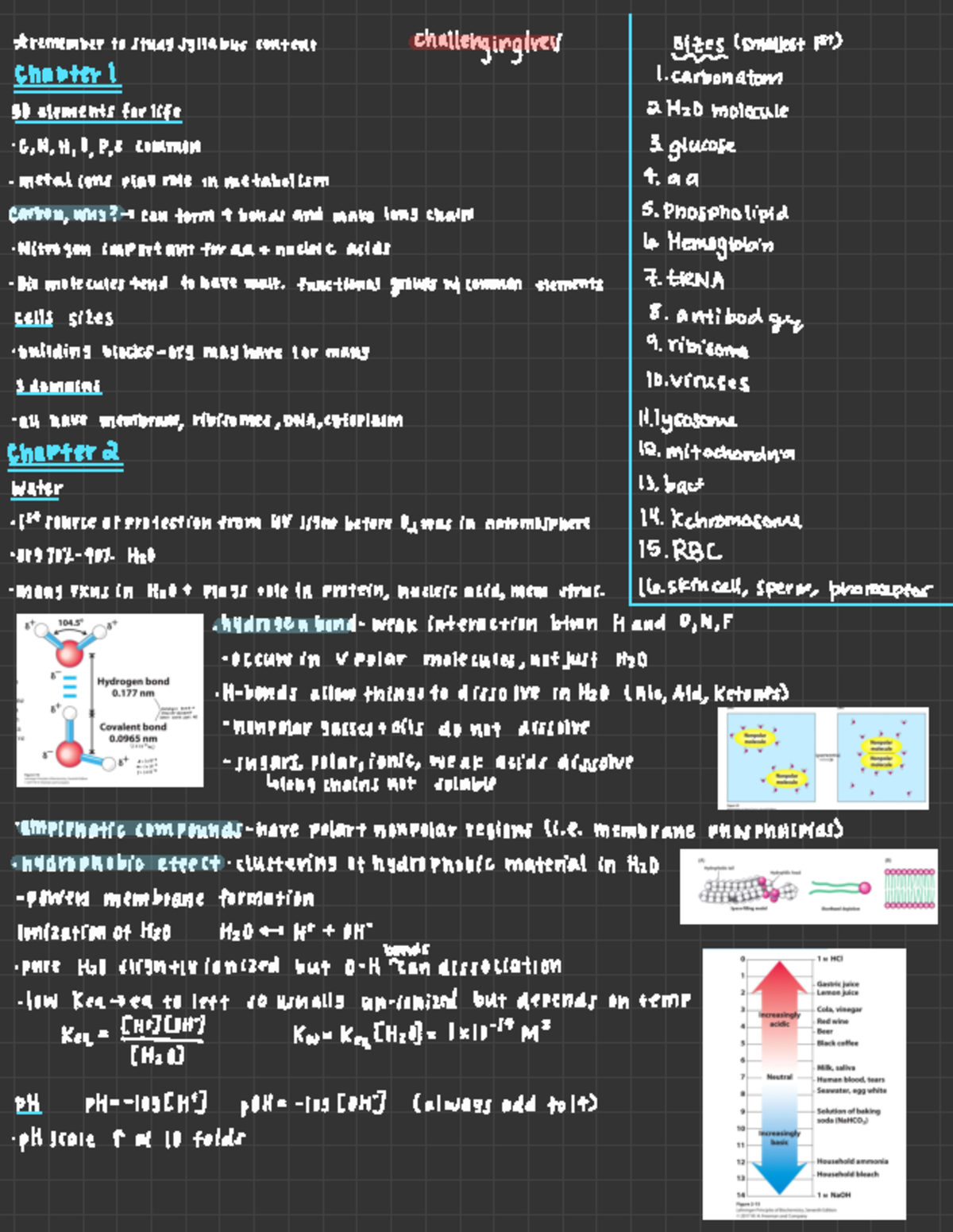 Biochem exam 1 study guide - rememberto studysyllabus content ...