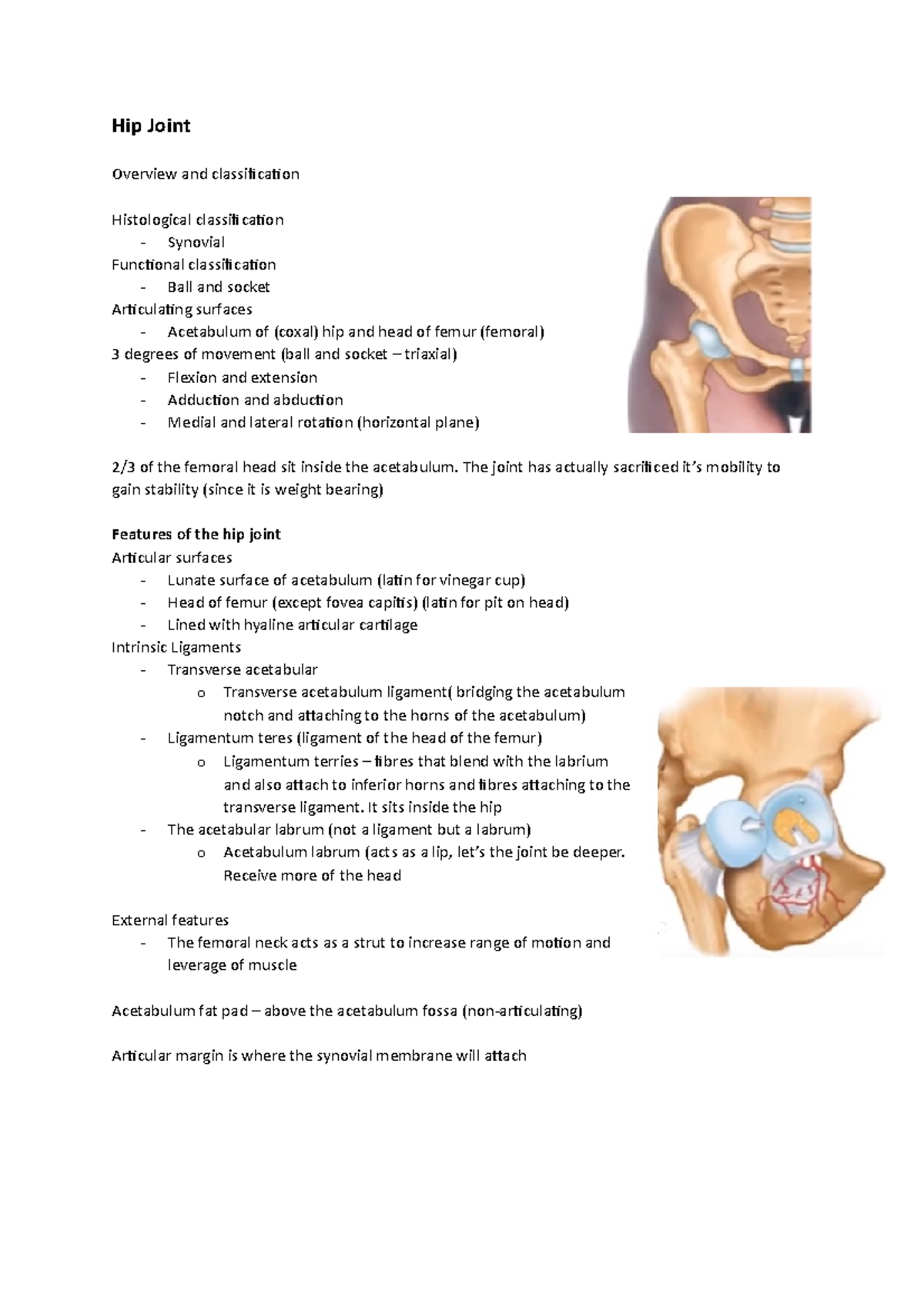 Hip joint - hip notes - Hip Joint Overview and classification ...