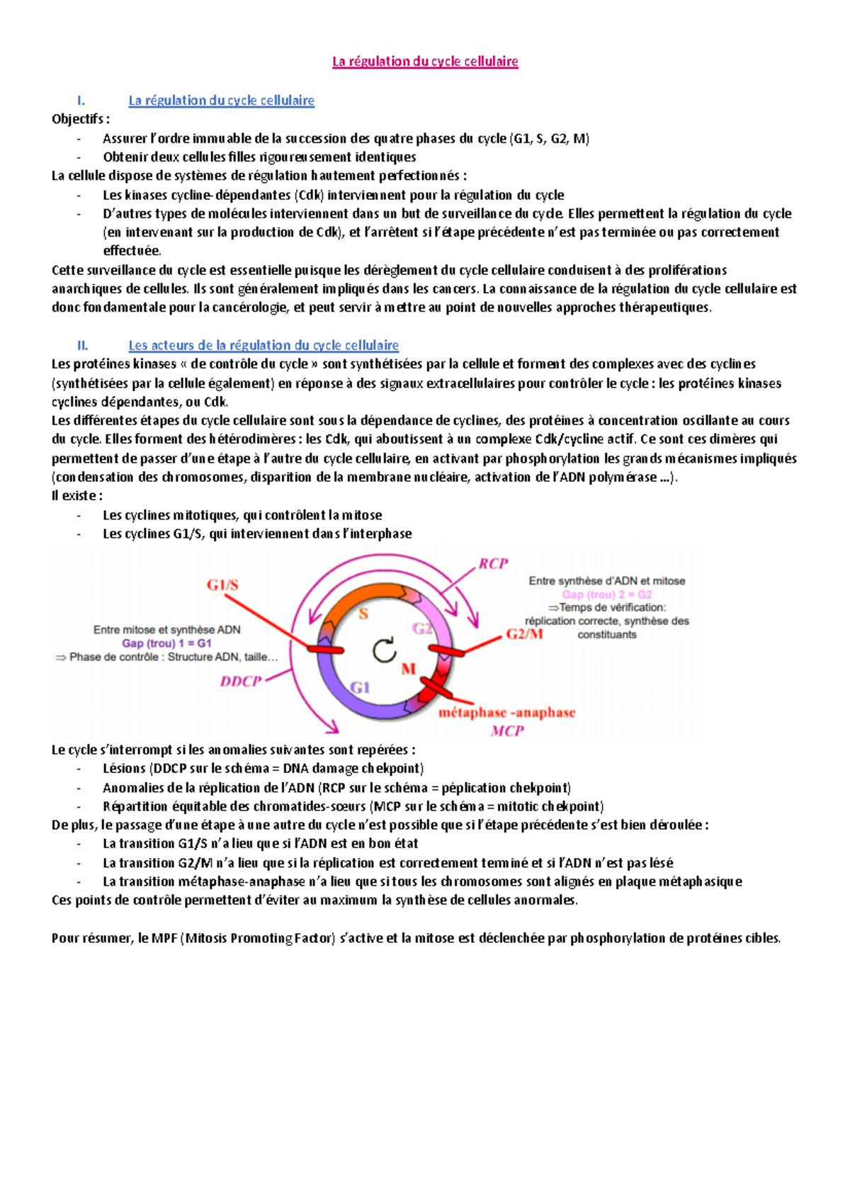 La régulation du cycle cellulaire - La régulation du cycle cellulaire ...