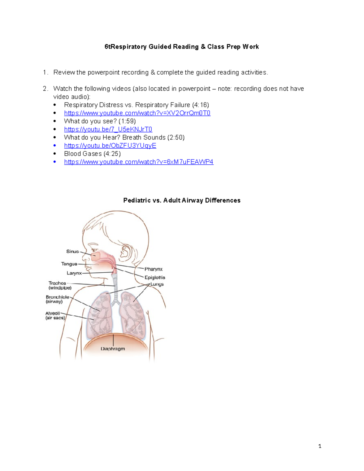 Respiratory Class Prep Work - 6tRespiratory Guided Reading & Class Prep ...