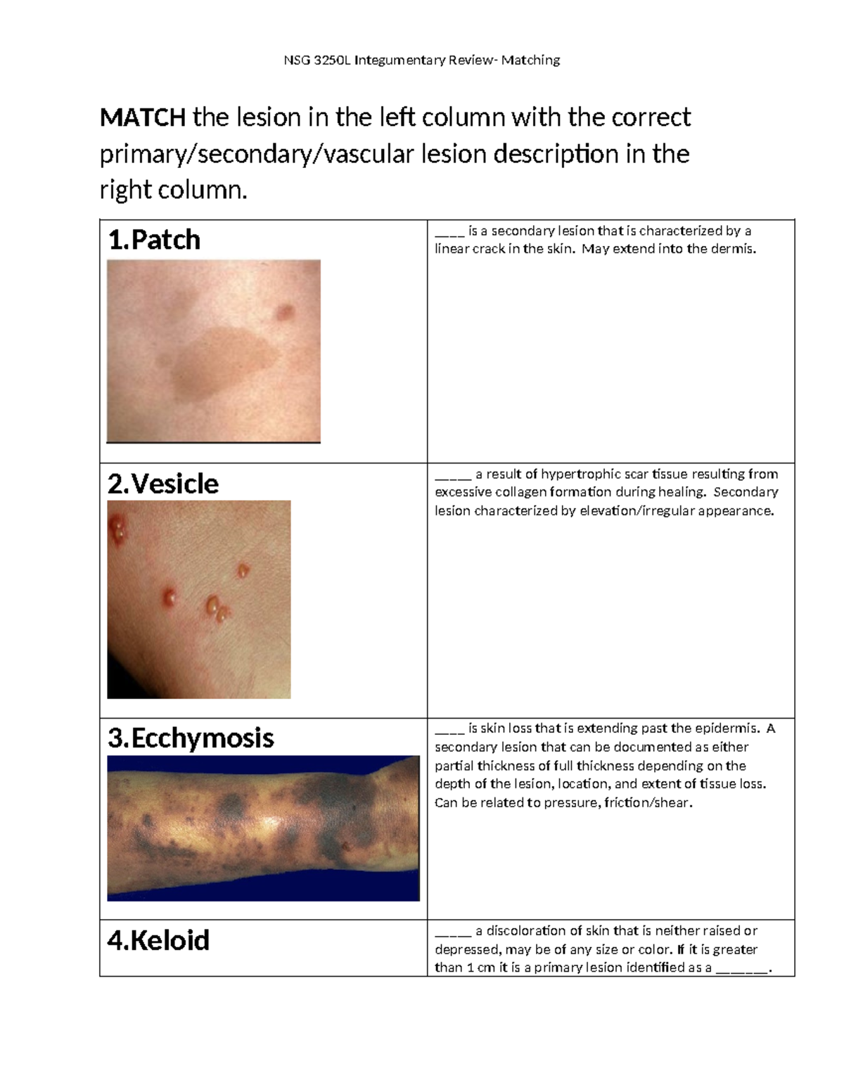 Skin lesion excercise - Skills - NSG 3250L Integumentary Review ...