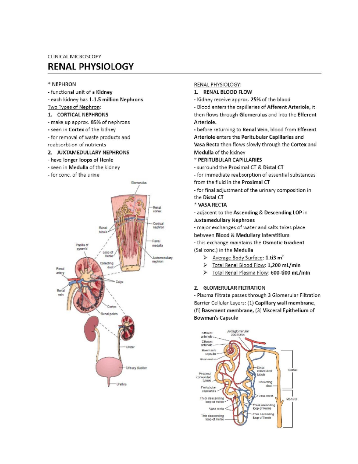 CM - 2 Renal Physiology - Lecture Notes - Clinical Microscopy - Studocu
