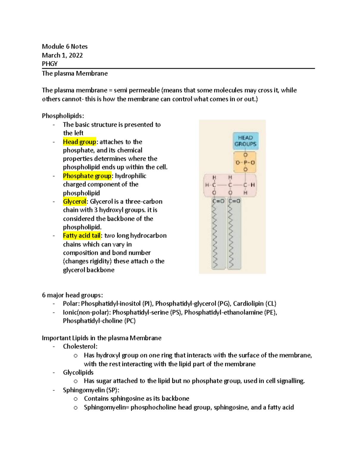 Module 6 Notes (The Plasma Membrane) - Module 6 Notes March 1, 2022 ...