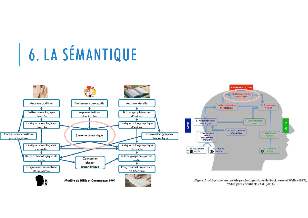 Psycholinguistique Chap 5. Lexique ET Semantique ( Partie 2) - 6. LA ...