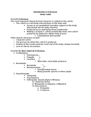 Life Cycles - Life Cycles Study Guide Define the term life cycle and ...