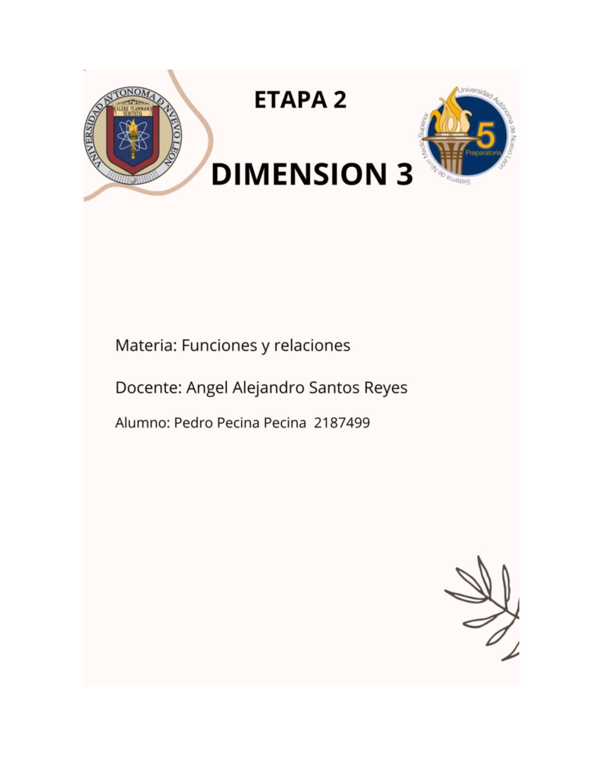 Dimensiòn 3 PPP Fy R - Dimensión 3 - AVTONOMA ETAPA 2 Universidad ALERE ...