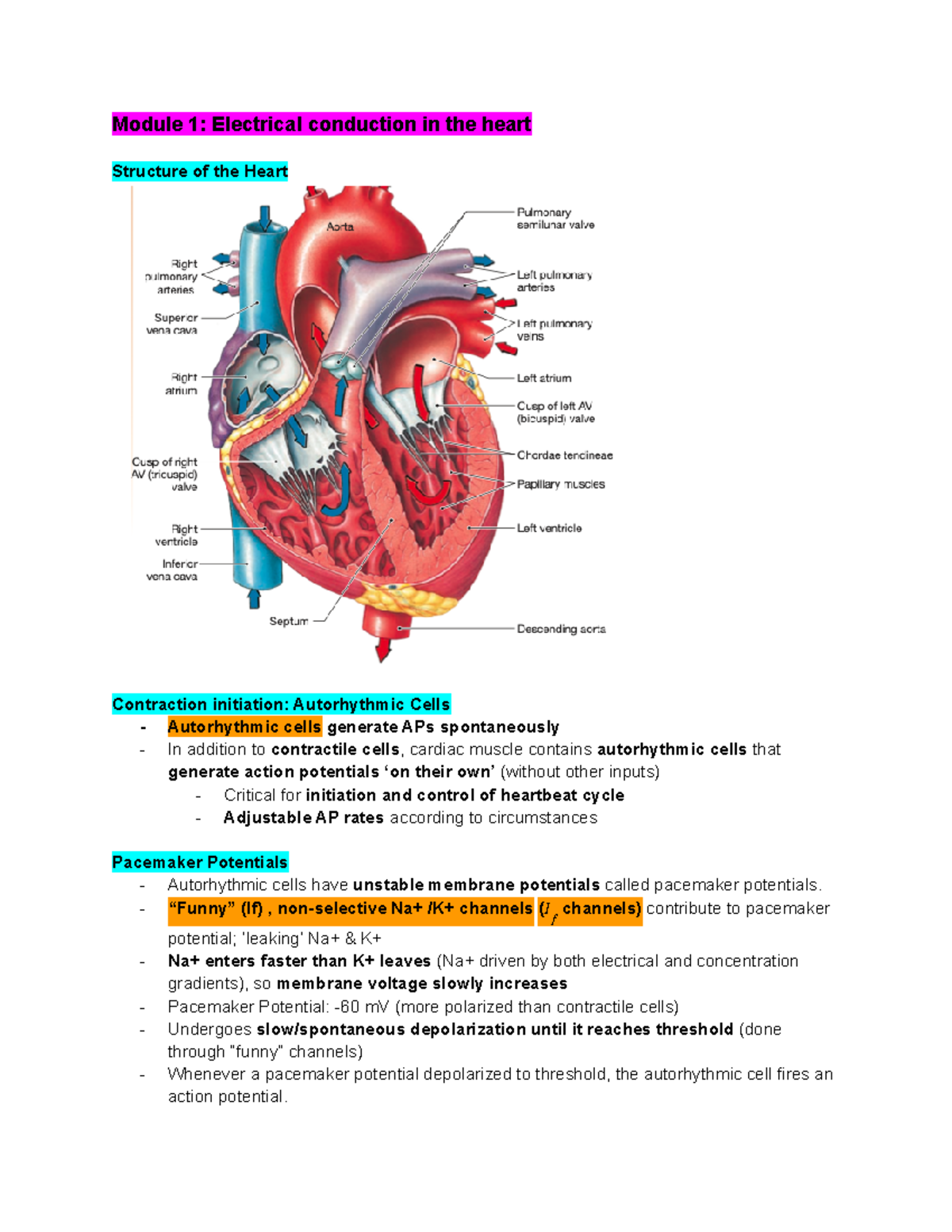 Lec. 2 Cardiovasular Physiology 2 (BIOL 171B) - Module 1: Electrical ...