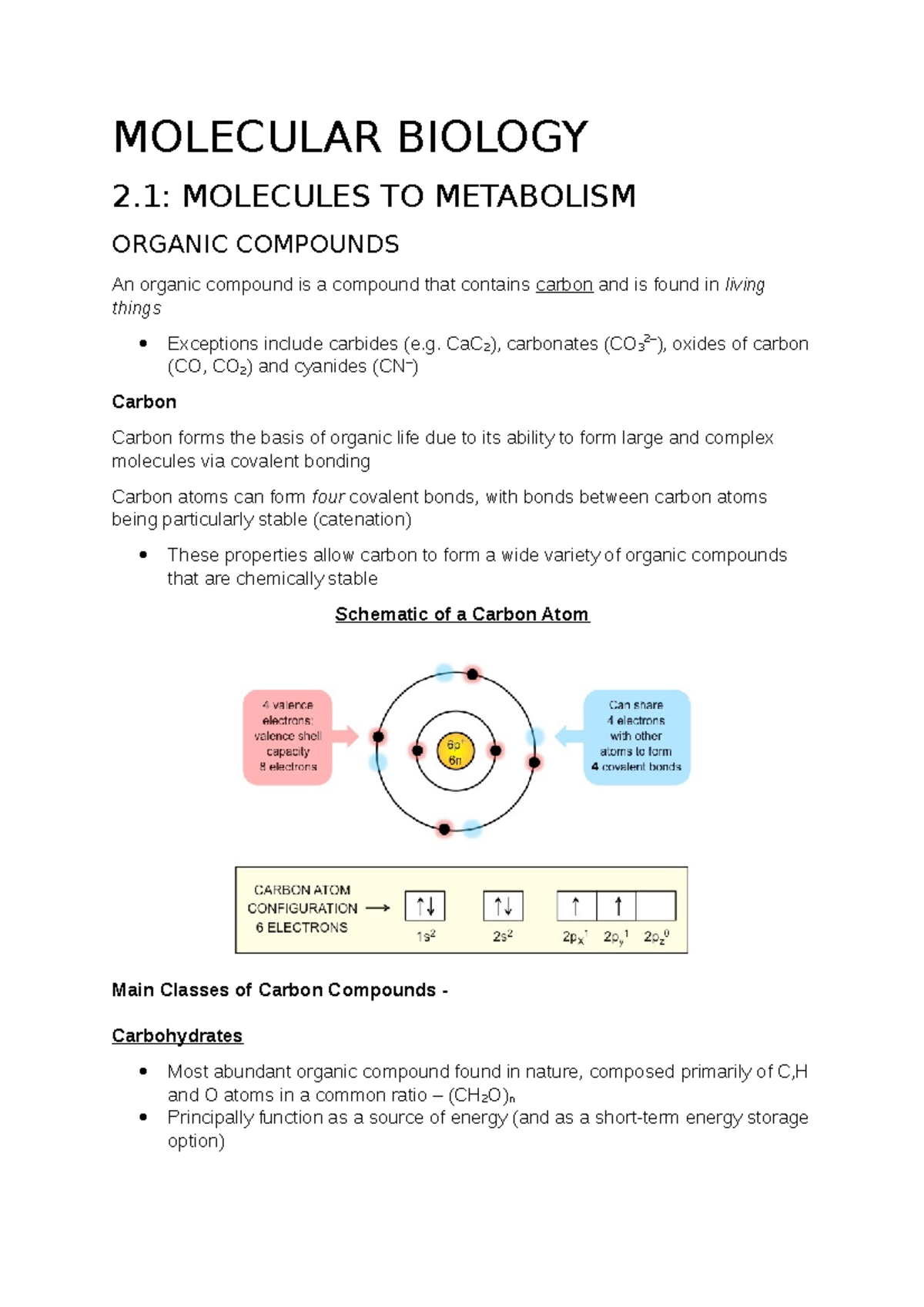 Molecular Biology Notes Metabolic processes - MOLECULAR BIOLOGY 2 ...