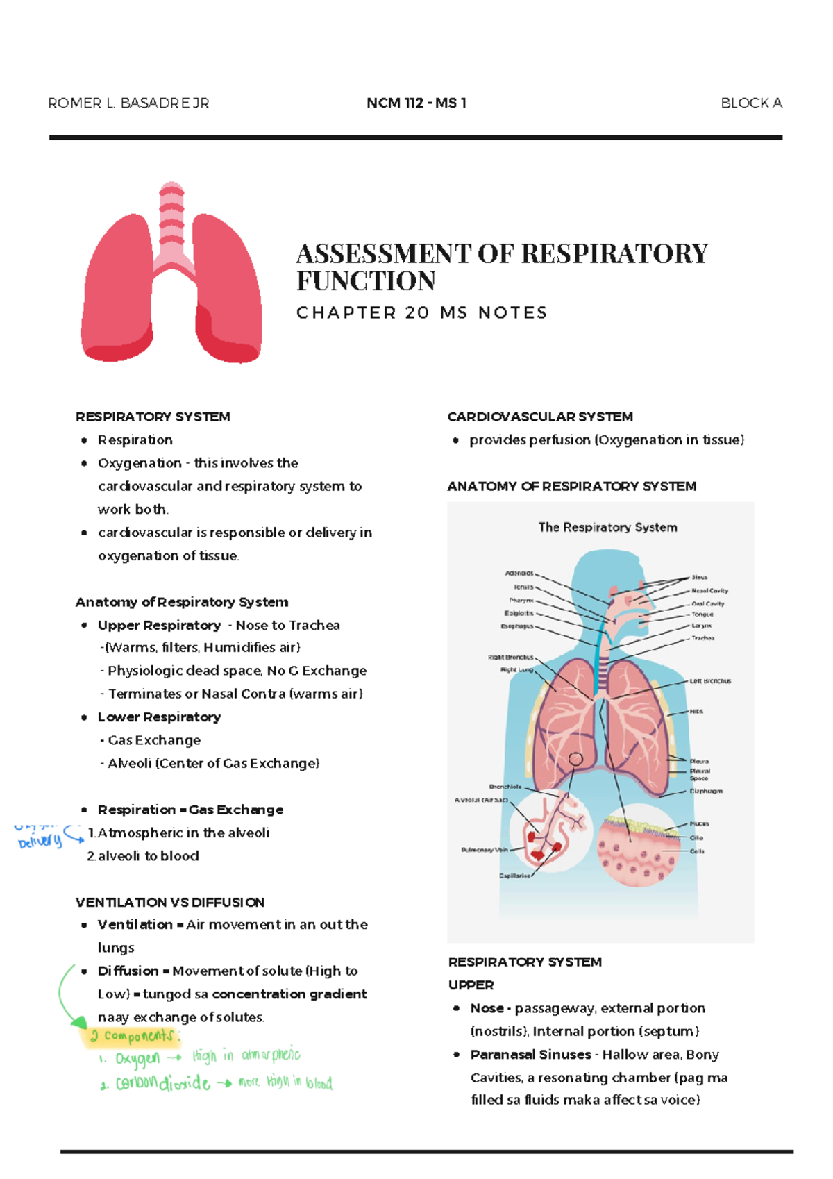 MS CHAPTER 1 - NOTES - ASSESSMENT OF RESPIRATORY FUNCTION C H A P T E R ...