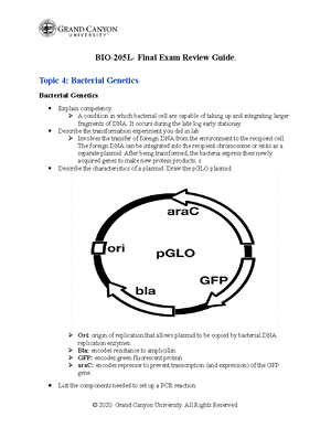 BIO 205L RS T6 - LAB REPORT - Section: Click or tap here to enter text ...