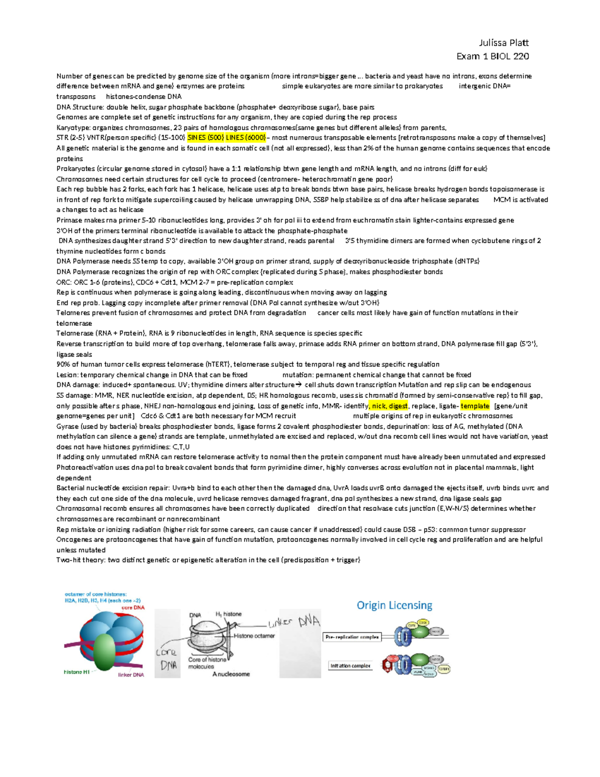 BIOL 220 Cheat Sheet - Julissa Platt Exam 1 BIOL 220 Number of genes can be predicted by genome ...