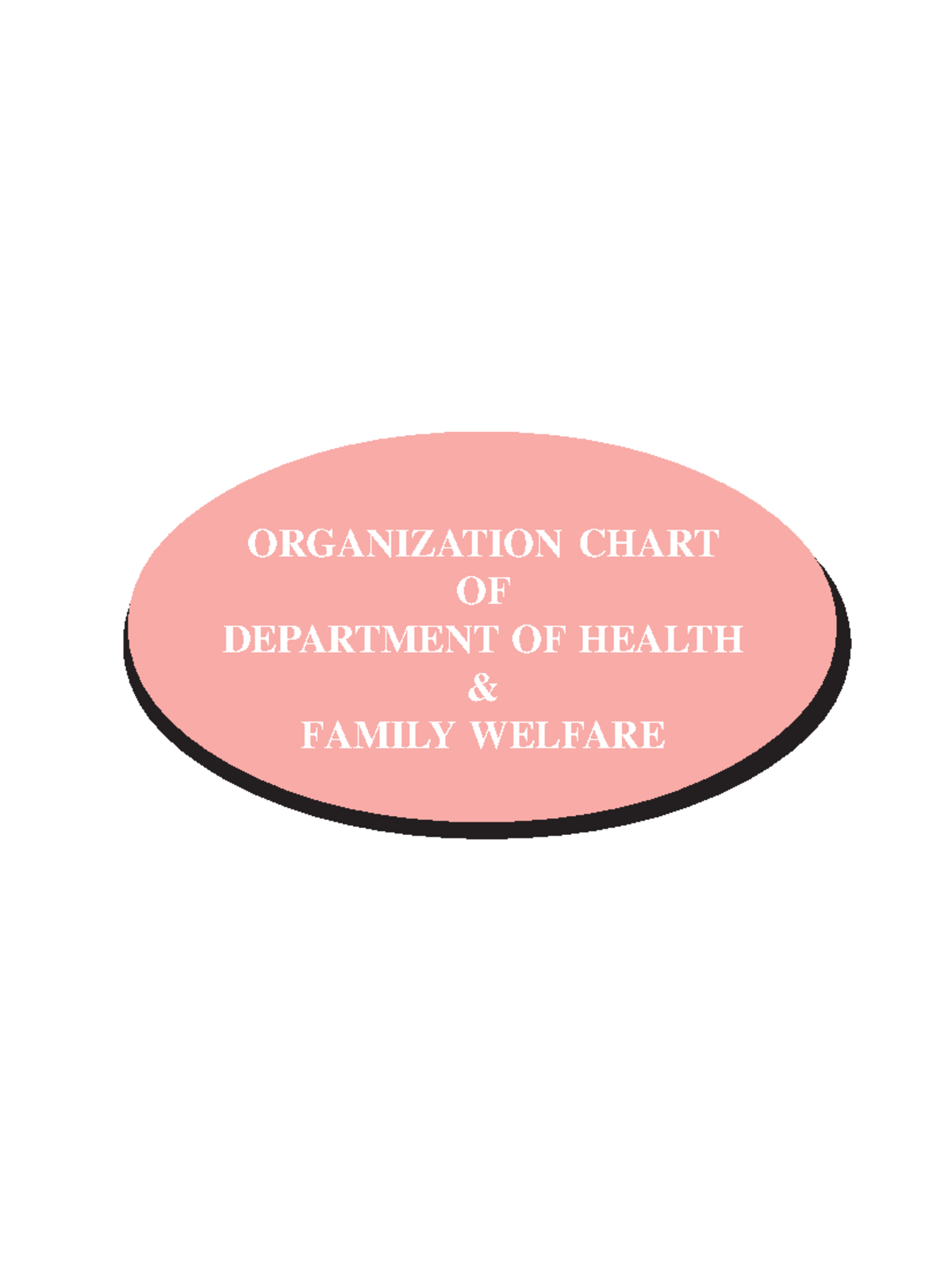 Organisationalchart 15 - ORGANIZATION CHART OF DEPARTMENT OF HEALTH ...