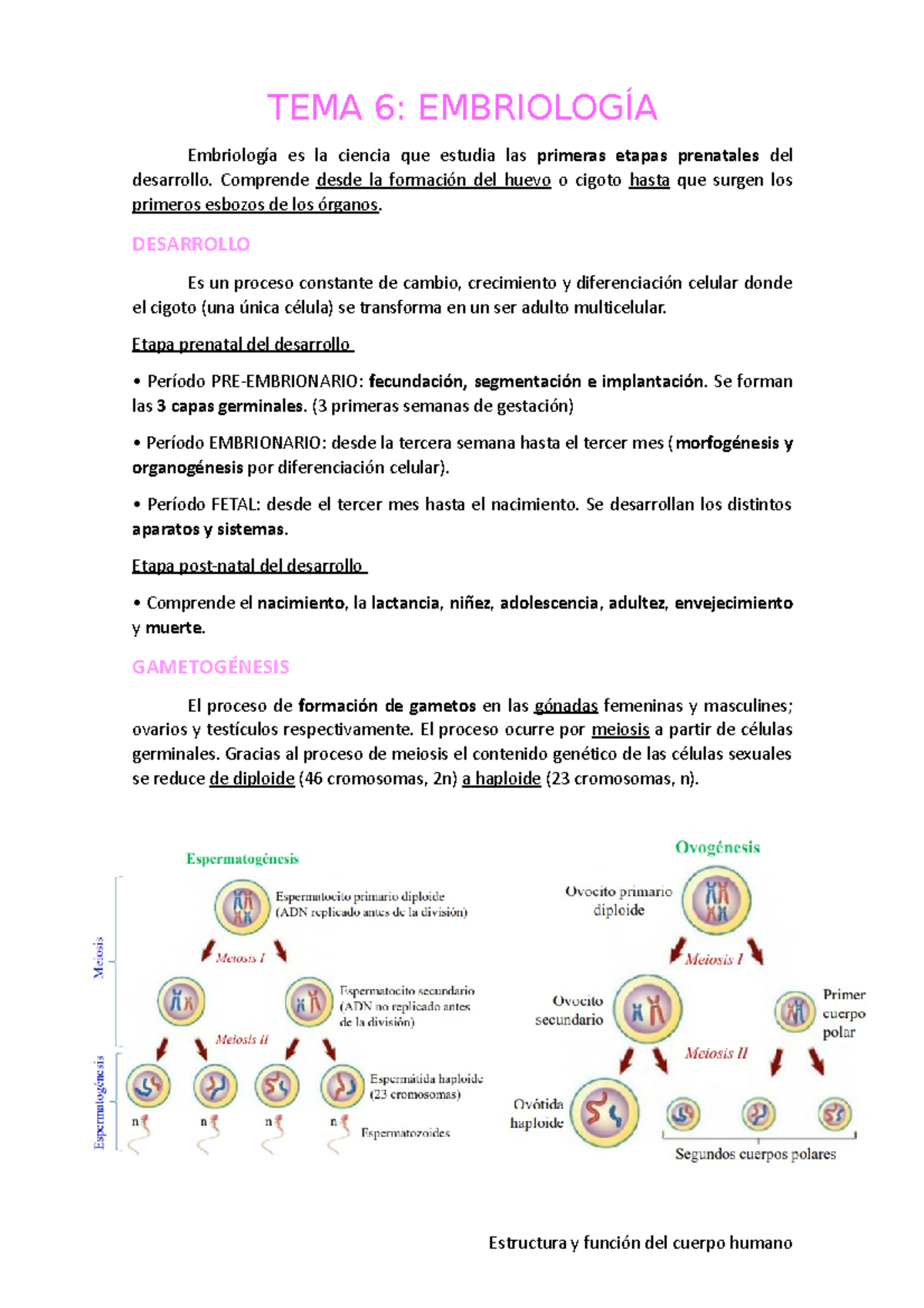 TEMA 6 - bloque I - TEMA 6: EMBRIOLOGÍA Embriología es la ciencia que ...