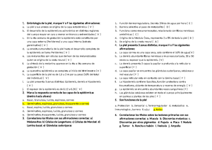 Necrólis Epidérmica Tóxica - NECRÓLIS EPIDÉRMICA TÓXICA ¿Qué es? Es una ...