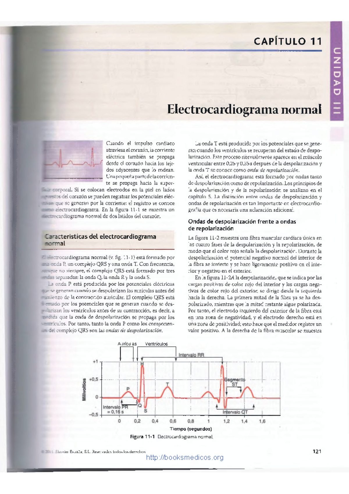 Electrocardiograma - Guyton 1 2ª Ed - CAPITULO 11 Electrocardiograma normal ñ vi ' s í t ...