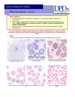 Malaria comparison p3-6 - Plasmodium falciparum Blood Stage Parasites ...