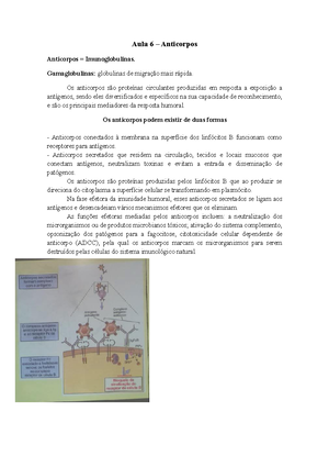 Anti-helmínticos - Tabela farmacologia de anti-helmintos - FÁRMACOS ...