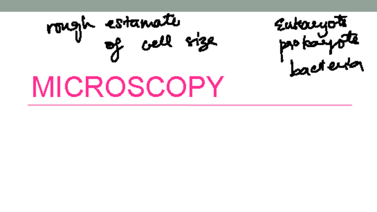 Microscopy Techniques and Staining Methods: A Comprehensive Guide - MICROSCOPY rong estamate ...