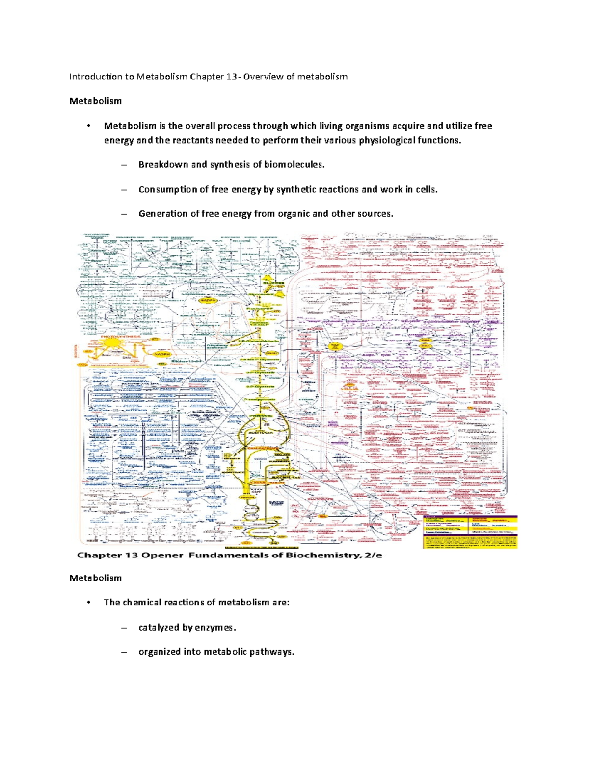 Introduction to Metabolism Chapter 13 - Breakdown and synthesis of ...