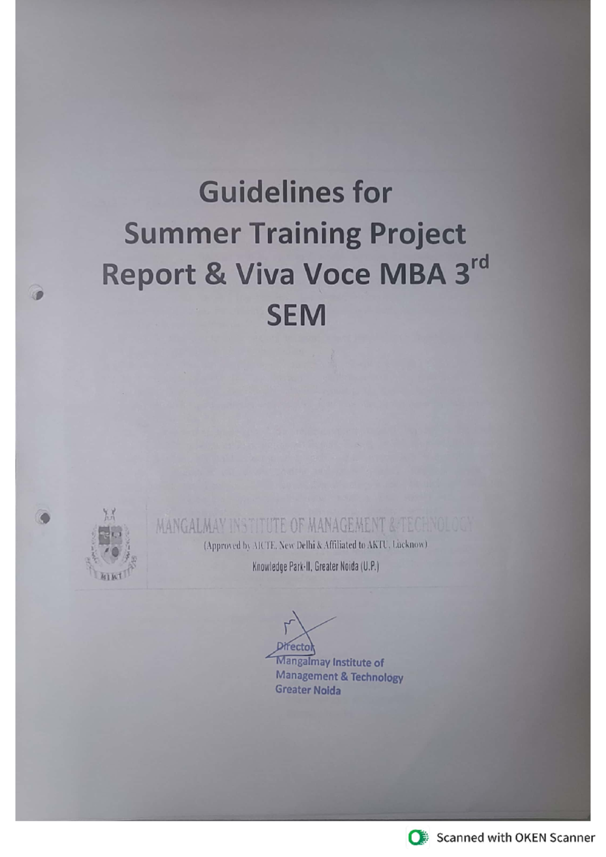 Guidelines summer internship - Masters of Business Administration - Studocu