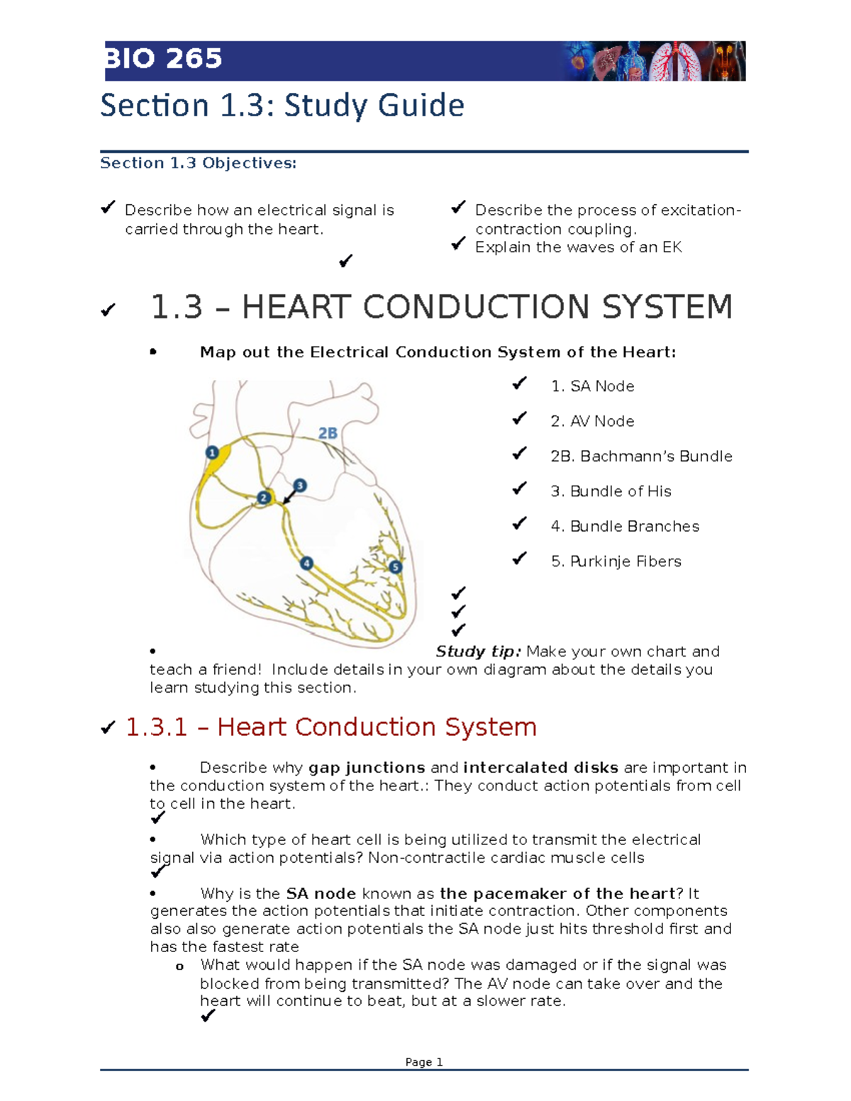 1.3 Study Guide - BIO 265 Section 1: Study Guide Section 1 Objectives ...