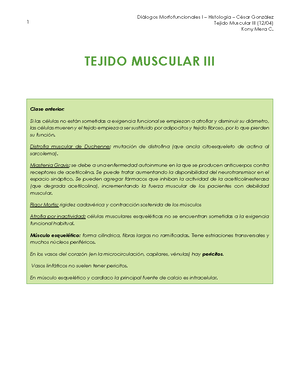 Tejido Muscular P1 - Tejido Muscular Sebastián Navarro 1 TEJIDO ...