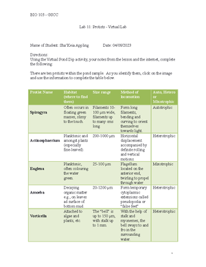 Bacteria Identification Guide - 20 Review Quiz Identification of most ...