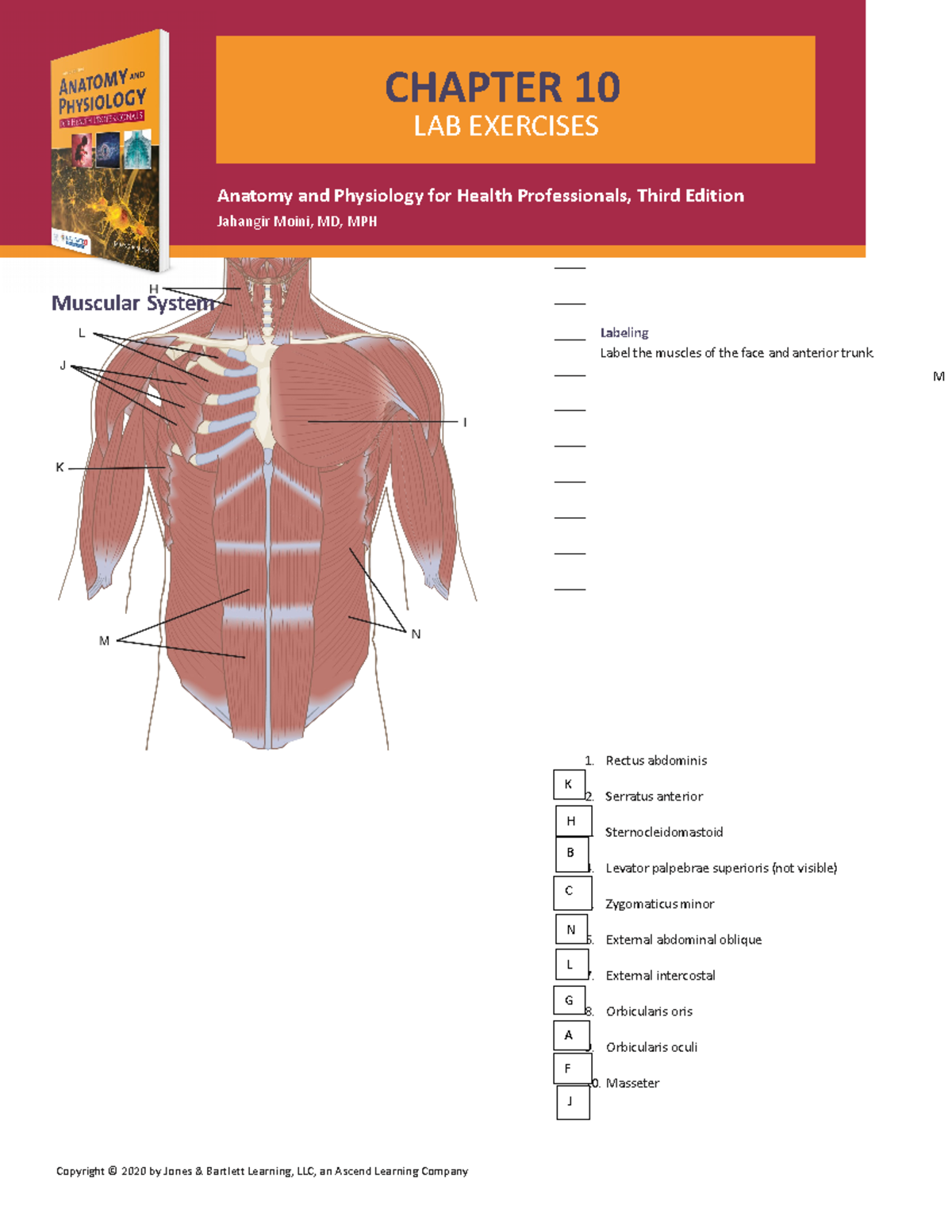 CHapter 10 Lab Exercise Kristen Armes - Labeling Label the muscles of ...
