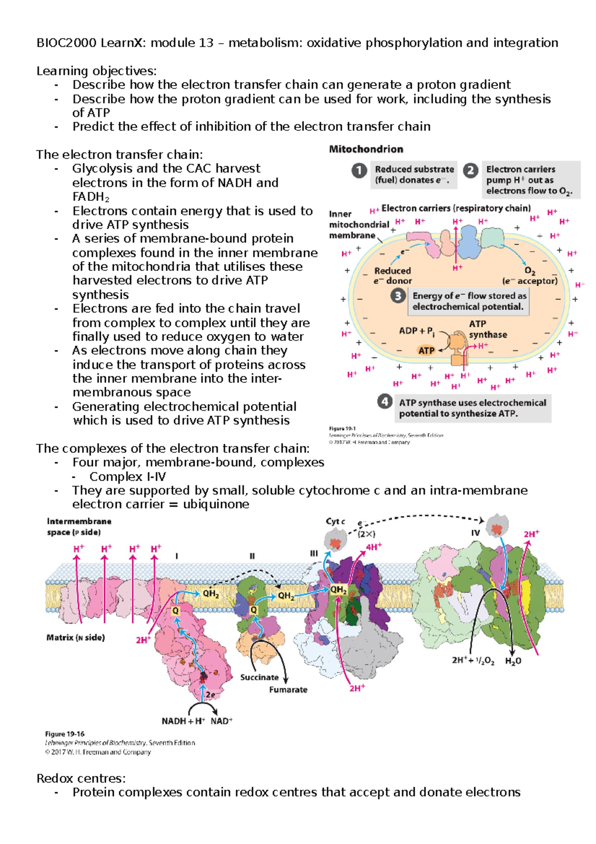 BIOC2000 Learn X module 13 - Studocu