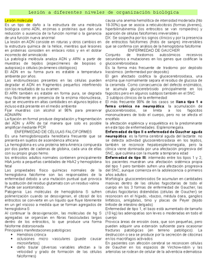 Simblefaron - SIMBLEFARON Definición: Condición en la que se produce ...