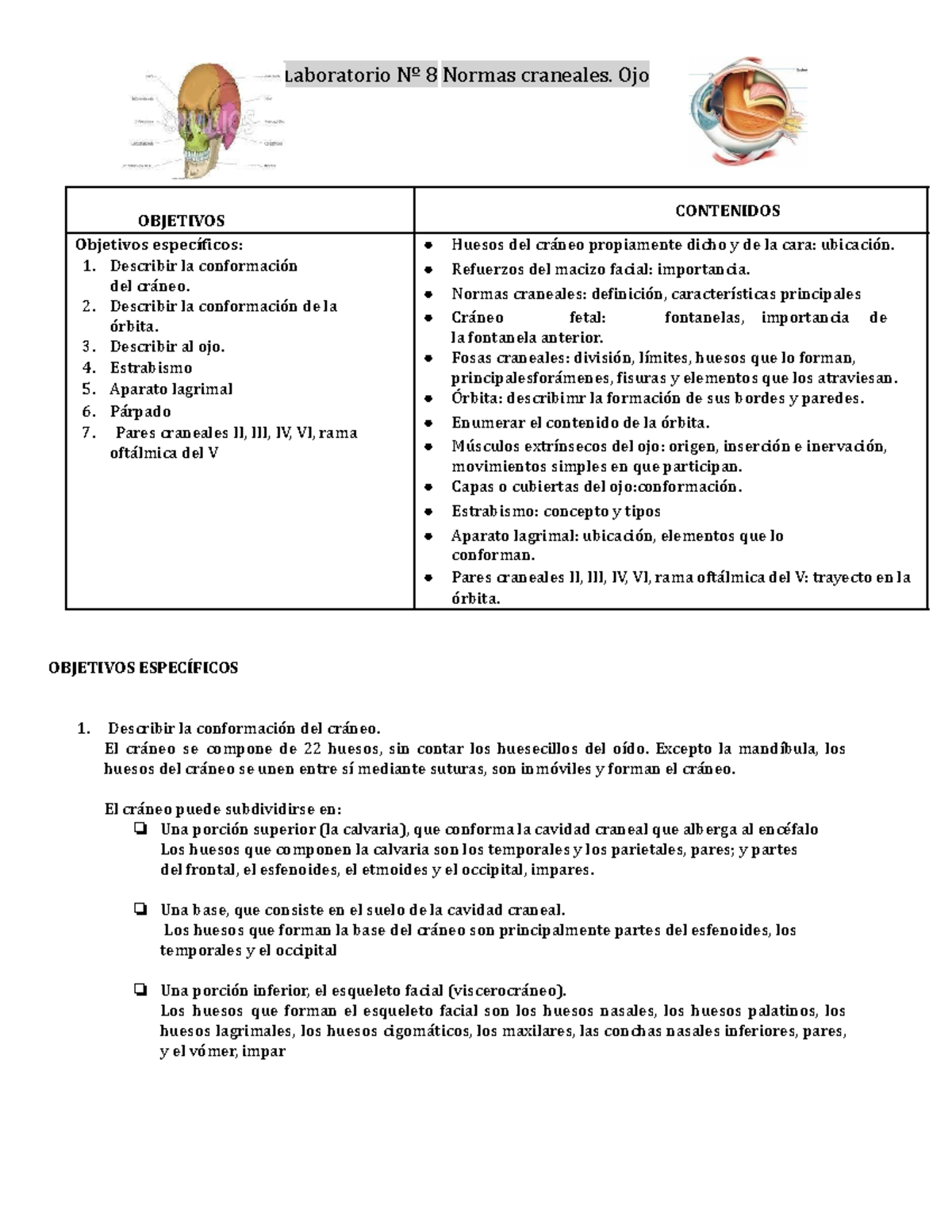 Laboratorio 8 Normas craneales. Ojo 2021 - Laboratorio Nº 8 Normas ...