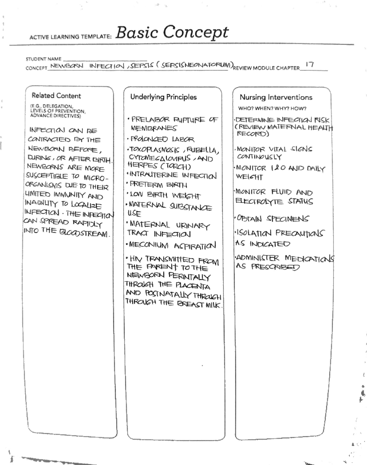 Basic concept - Template - ACTIVE LEARNING TEMPLATE: Basic Concept ...