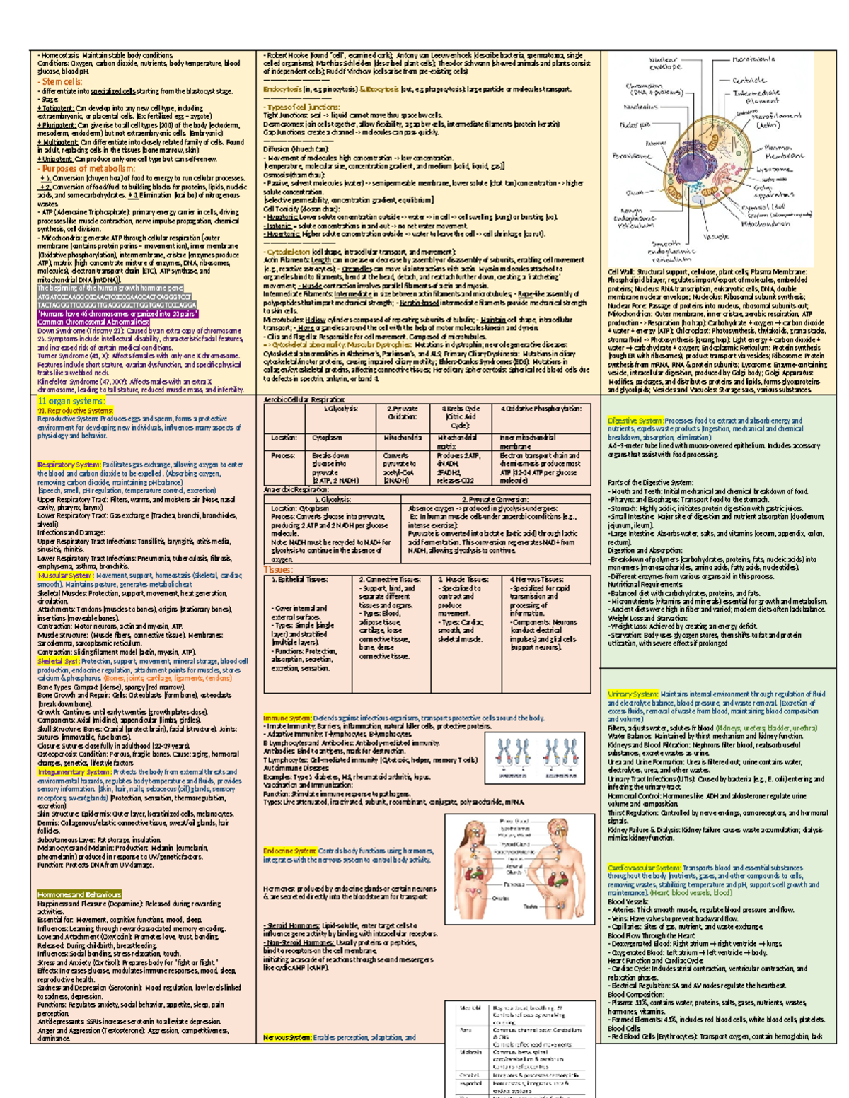 BIOL1210 cheat sheet - Homeostasis: Maintain stable body conditions ...